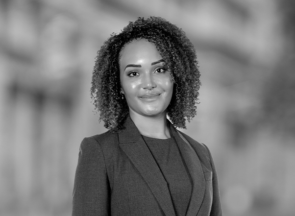 Experienced Lawyers | White & Case LLP