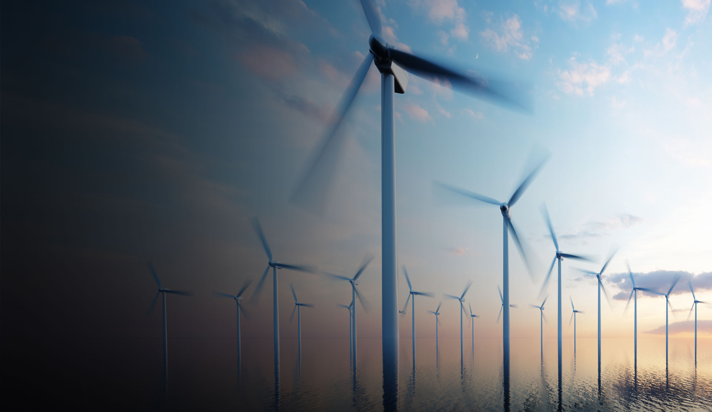 Offshore wind projects: Assessing the environmental impact | White ...