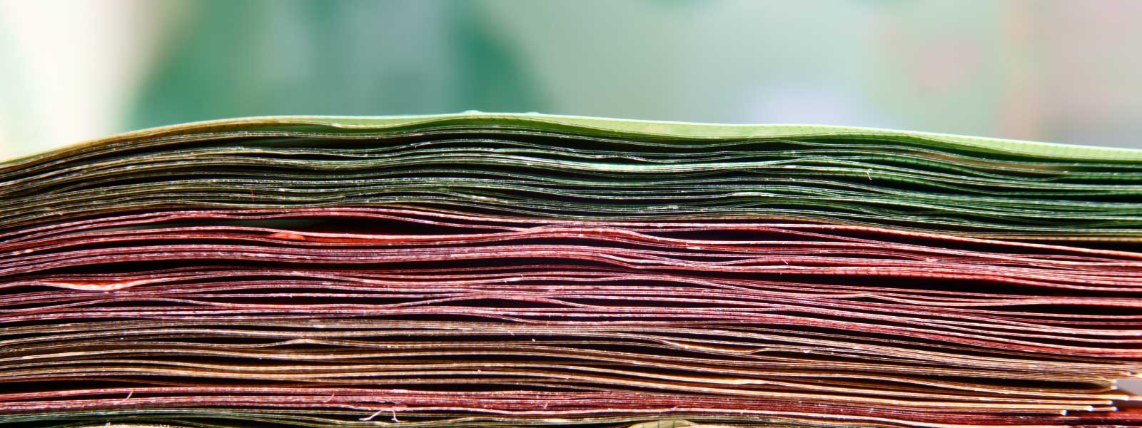 New subsidies control | White & Case LLP