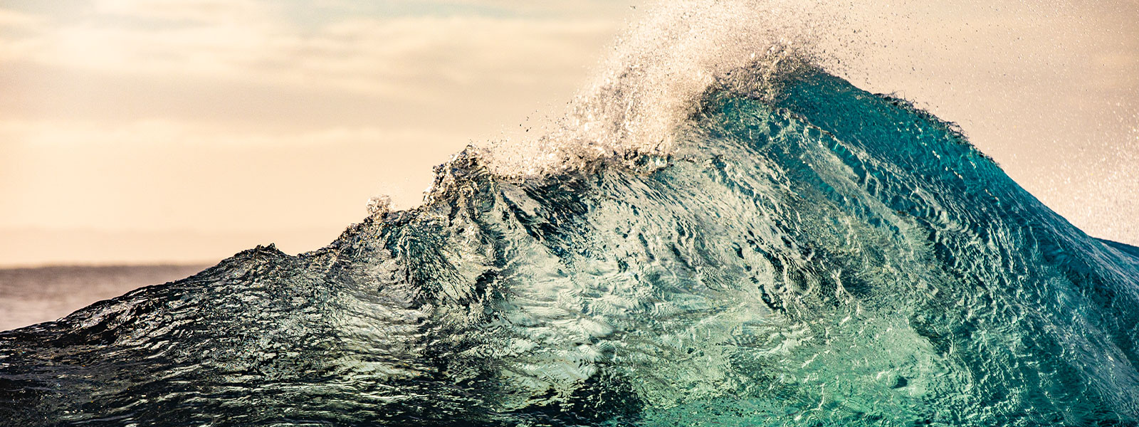 Navigating choppy waters: Conclusion | White & Case LLP