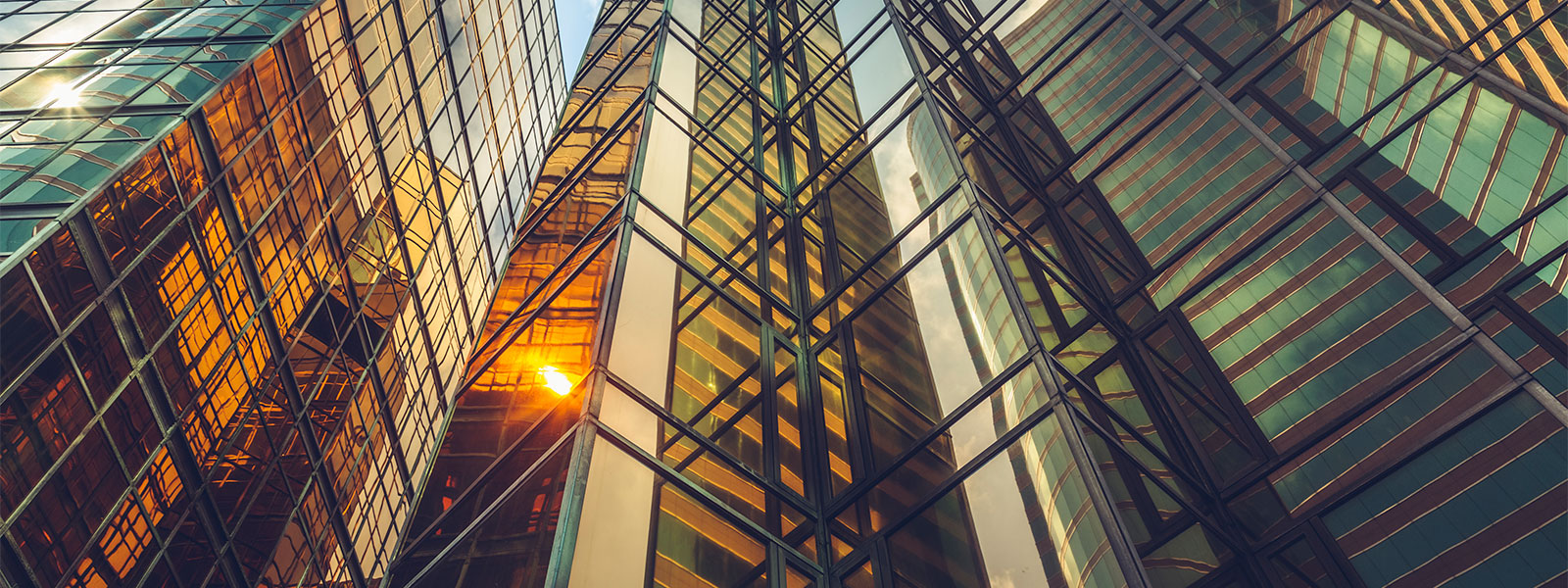 Regulatory round-up | White & Case LLP