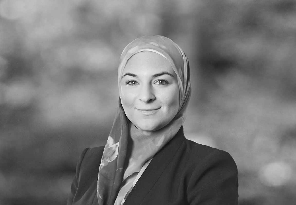Environmental Disputes and the BRI | White & Case LLP