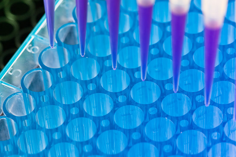 Sector overview: TMT and healthcare top the charts | White & Case LLP