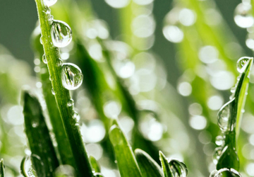 Dr. Raymond Azar | Partner | White & Case LLP