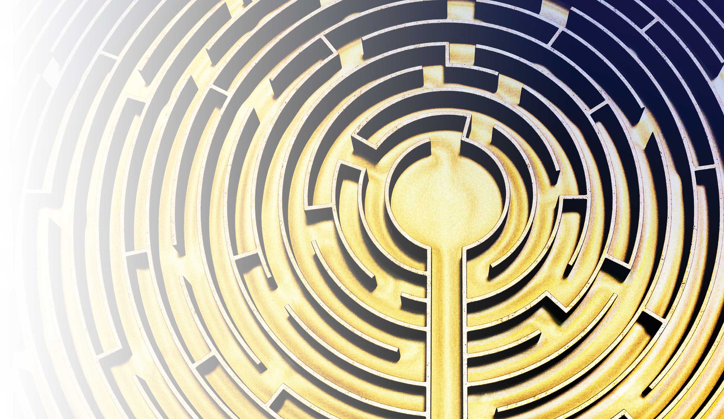 White & Case LLP International Law Firm, Global Law Practice