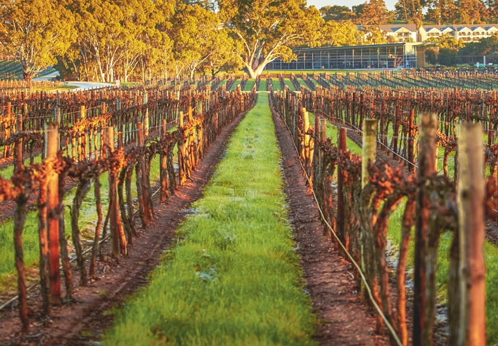 Guy Potel | White & Case LLP International Law Firm, Global Law Practice